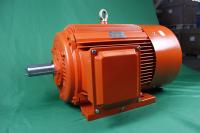 China YE3 315S 6 Pole Class F Induction AC Asynchronous Motor 75kW IP55 for sale