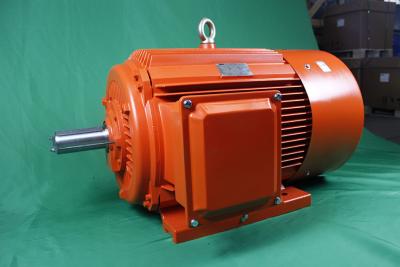 China YE3 315S 6 Pole Class F Induction AC Asynchronous Motor 75kW IP55 for sale