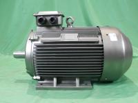 China YE3 315L2 6 Pole Class F Asynchronous Electric Motor 3 Phase 132kW IP55 for sale
