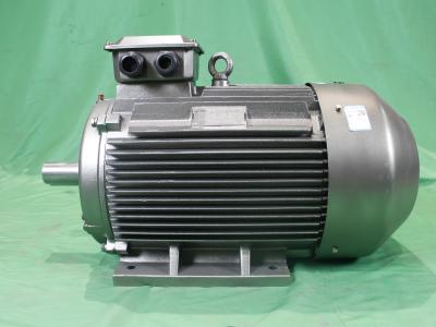 China YE3 315L2 6 Pole Class F Asynchronous Electric Motor 3 Phase 132kW IP55 for sale