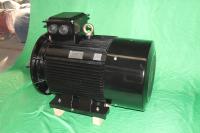 China YE3 355M1 6 Pole Class F 3 Phase Asychronous Motor 160kW IP55 for sale