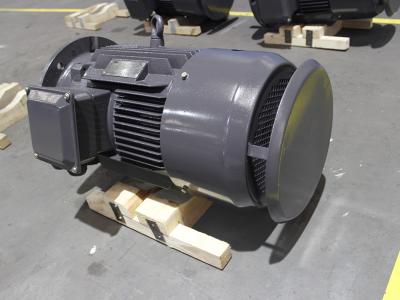 China YE3 355L 6 Pole Class F 3 Phase Asychronous Motor 250kW IP55 for sale