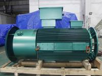 China YVFE3 200L2-2 37kW 380V 3 Phase Asynchronous Motor LV 2975RPM for sale
