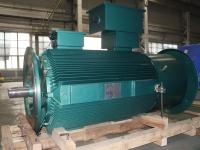 China YVFE3 225M-2 45kW 380V Three Phase Asynchronous Motor 2975RPM for sale