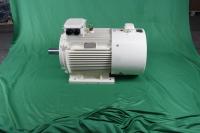 China YVFE3 250M-2 55kW 380V Variable Frequency Drive Motor IEC 60034-30 for sale