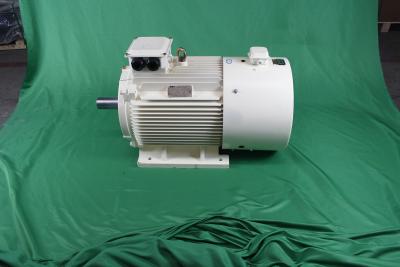 China YVFE3 250M-2 55kW 380V Variable Frequency Drive Motor IEC 60034-30 for sale