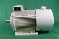 China YVFE3 280S-2 75kW IP55 380 Volt Variable Frequency Motor 2980RPM for sale