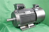 China YVFE3 280M-2 90 KW 380V Vfd Electric Motor 2980RPM for sale