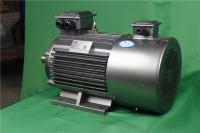 China YVFE3 315S-2 110 kW 380V 2P Variable Frequency Motor 2975RPM for sale