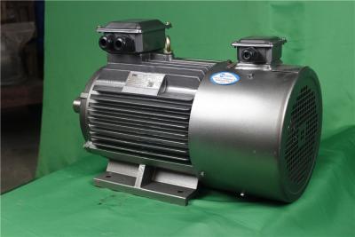 China YVFE3 315S-2 110 kW 380V 2P Variable Frequency Motor 2975RPM for sale