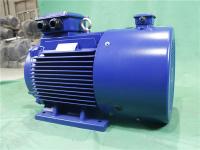 China YVFE3 315L1-2 160 KW 380V Vfd Motor Low Voltage 2975RPM for sale