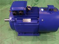 China YVFE3 315L-2 185kW 380V Low Voltage Variable Frequency Motor 2975RPM for sale