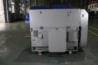 China YKK 3554-4 Ac Asynchronous Motor 250kW 3 Phase Asynchronous Motor for sale