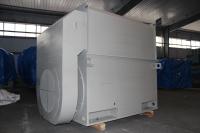 China 6kV IP54 HV Three Phase AC Motor 1485 RPM AC Asynchronous Motor for sale