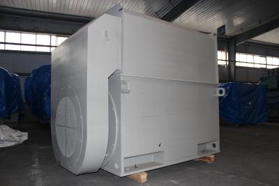 China 6kV IP54 HV Three Phase AC Motor 1485 RPM AC Asynchronous Motor for sale