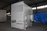 China Class F IM B3 3 Phase Asynchronous Induction Motor High Voltage for sale