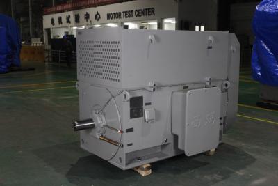 China High Efficiency 1490RPM AC Asynchronous Motor 6kV IP54 Class F for sale