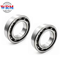 China Hot Selling Deep Groove Ball Bearing 6300 300 10*35*11mm Electric Motor Bearing for sale