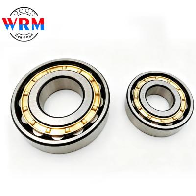 China Long Service Life Cylindrical Roller Bearing N1009EM 45*75*16mm 2109EH Metallurgical Equipment Bearing for sale