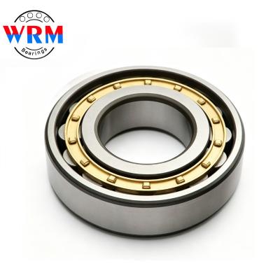 China Wuxi Bearings Cylindrical Roller Bearing N1013EM 65*100*18mm 2113EH CNC Machine Tool Bearing for sale