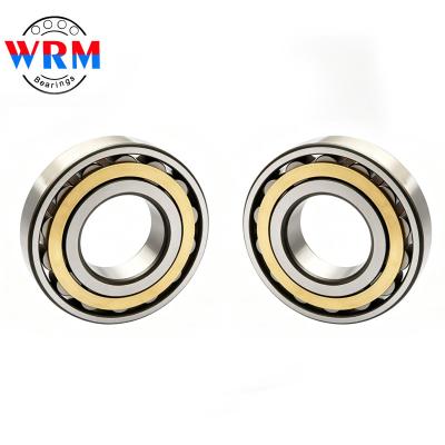 China Quality Assurance Cylindrical Roller Bearing N1019EM 95*145*37mm 2119EH Printing Machinery Bearing for sale