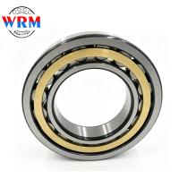 China Meet International Standards Cylindrical Roller Bearing N2313EM 65*140*48mm 2613EH Cement Equipment Bearing for sale