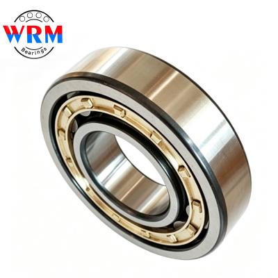 China Quality Assurance Cylindrical Roller Bearing NJ205EM 25*52*15mm 42205EH Construction Machinery Bearing for sale