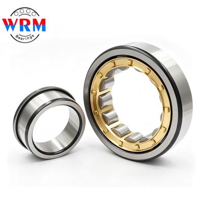 China High Speed Cylindrical Roller Bearing NJ1004EM 20*42*12mm 42104EH Railway Transportation Bearing for sale