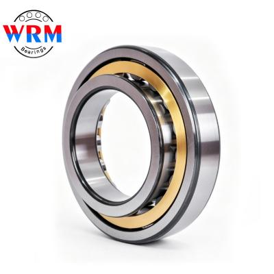 China China Factory Bearings Cylindrical Roller Bearing NJ1017EM 85*130*22mm 42117EH Paper Making Machine Bearing for sale