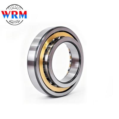 China OEM Standard Production Cylindrical Roller Bearing NJ2204EM 42504EH 20*47*18mm Reducer Gearbox Bearing for sale