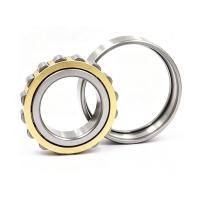 China Professional Cylindrical Roller Bearing NF204EM 20*47*14mm 12204EH Mining Machinery Bearing for sale