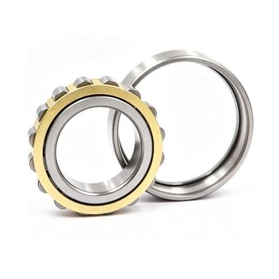 China Professional Cylindrical Roller Bearing NF204EM 20*47*14mm 12204EH Mining Machinery Bearing for sale