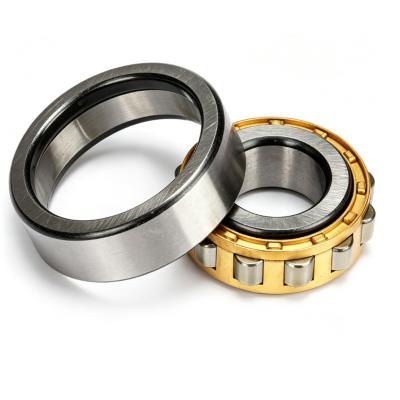 China Hot Selling Cylindrical Roller Bearing NF202EM 15*35*11mm 12202EH Ultra-thin Robot Bearing for sale
