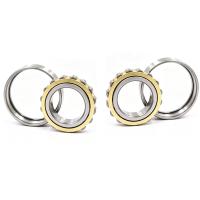 China Quality Assurance Cylindrical Roller Bearing NF205EM 25*52*15mm 12205EH Construction Machinery Bearing for sale