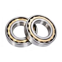 China High Concentricity Cylindrical Roller Bearing NF310EM 50*110*27mm 12310EH Power Equipment Bearing for sale