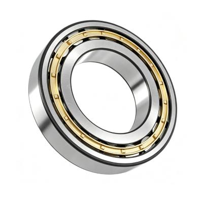 China Long Service Life Cylindrical Roller Bearing NF315EM 75*160*37mm 12315EH Packaging Machinery Bearing for sale