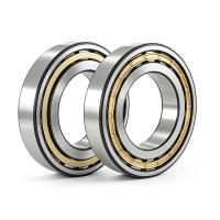 China High Speed Cylindrical Roller Bearing NF405EM 25*80*21mm 12405EH Rubber Equipment Bearing for sale