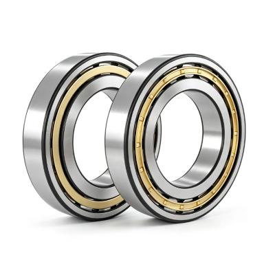 China High Speed Cylindrical Roller Bearing NF405EM 25*80*21mm 12405EH Rubber Equipment Bearing for sale