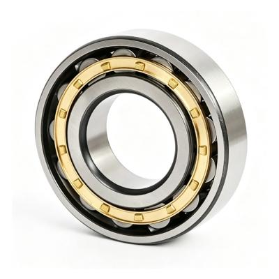China High Quality Cylindrical Roller Bearing NF411EM 55*140*33mm 12411EH Food Machinery Bearing for sale