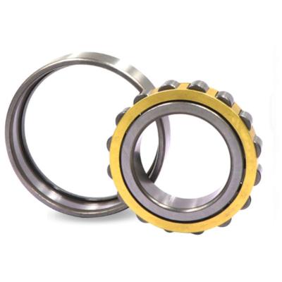 China After-sales Support Cylindrical Roller Bearing NF1005EM 25*47*12mm 12105EH Chemical Fiber Equipment Bearing for sale
