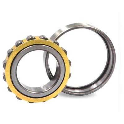 China Meet International Standards Cylindrical Roller Bearing NF1006EM 30*55*13mm 12106EH Rubber Equipment Bearing for sale