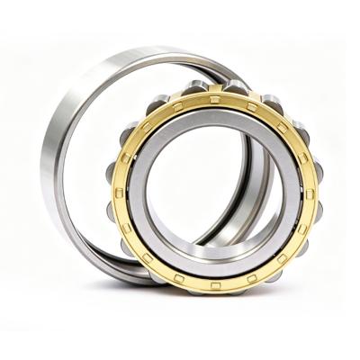 China High Speed Cylindrical Roller Bearing NF1009EM 45*75*16mm 12109EH Railway Transportation Bearing for sale