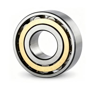 China High Load Capacity Cylindrical Roller Bearing NF1012EM 60*95*18mm 12112EH Food Machinery Bearing for sale