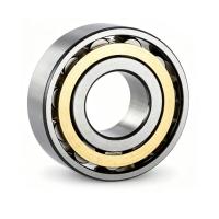China High Stability Cylindrical Roller Bearing NF1013EM 65*100*18mm 12113EH Packaging Machinery Bearing for sale