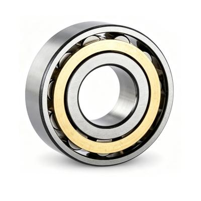 China High Stability Cylindrical Roller Bearing NF1013EM 65*100*18mm 12113EH Packaging Machinery Bearing for sale