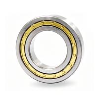 China Precious Machined Cylindrical Roller Bearing NF1016EM 80*125*22mm 12116EH Mining Machinery Bearing for sale