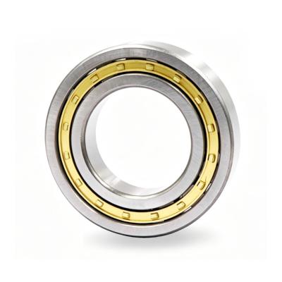 China Precious Machined Cylindrical Roller Bearing NF1016EM 80*125*22mm 12116EH Mining Machinery Bearing for sale