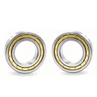 China OEM Standard Production Cylindrical Roller Bearing NF1017EM 85*130*22mm 12117EH Construction Machinery Bearing for sale