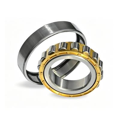 China High Speed Cylindrical Roller Bearing NF2204EM 20*47*18mm 12504EH Food Machinery Bearing for sale