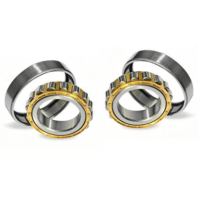 China Low Noise Cylindrical Roller Bearing NF2205EM 25*52*18mm 12505EH Packaging Machinery Bearing for sale